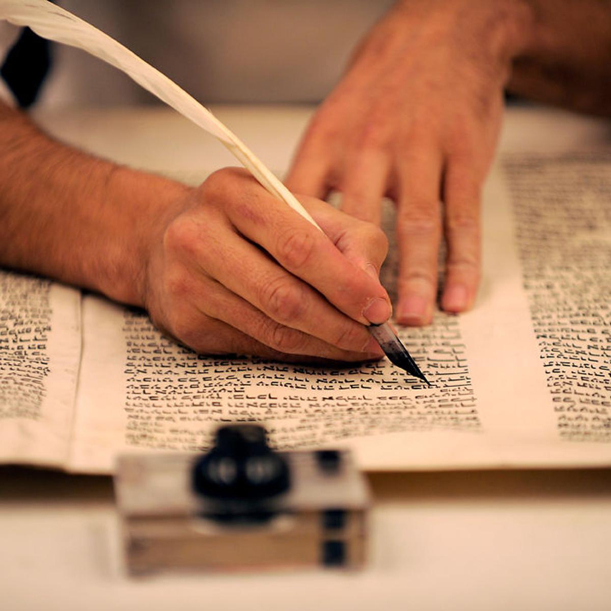 Torah Dedication – The Shul